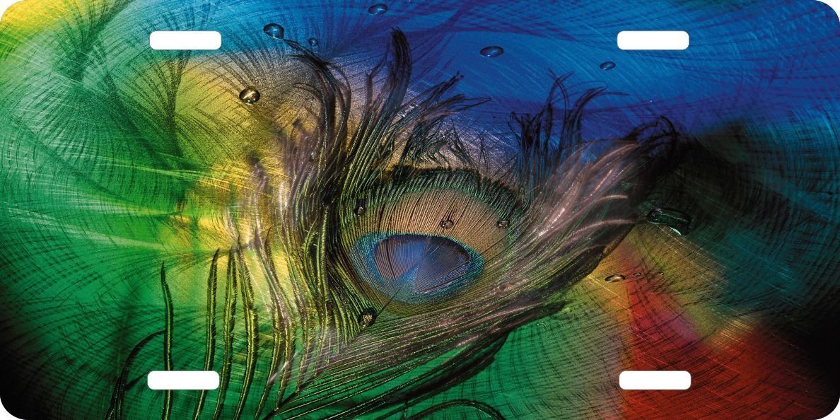 Peacock Car Accessories Cool Stuff To Buy And Collect
